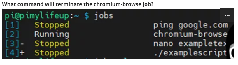 Solved What command will terminate the chromium-browse job? | Chegg.com