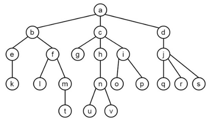 Solved Q1: Based on the tree diagram in the data | Chegg.com