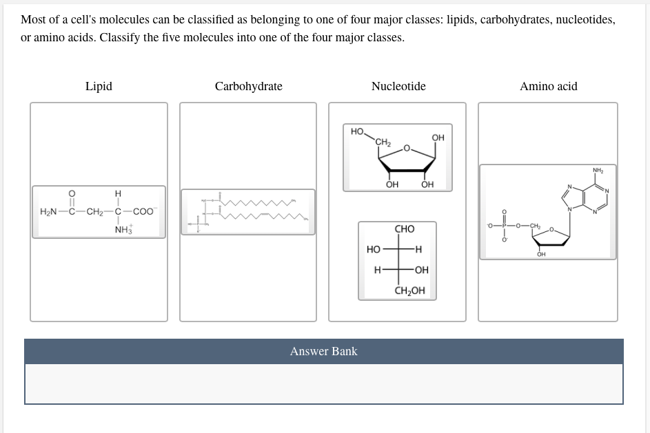 Solved Most of a cell's molecules can be classified as | Chegg.com