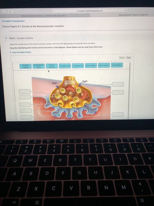 Solved: CChapter 9 Assignment Focus Figure 9.1: Events At ... | Chegg.com