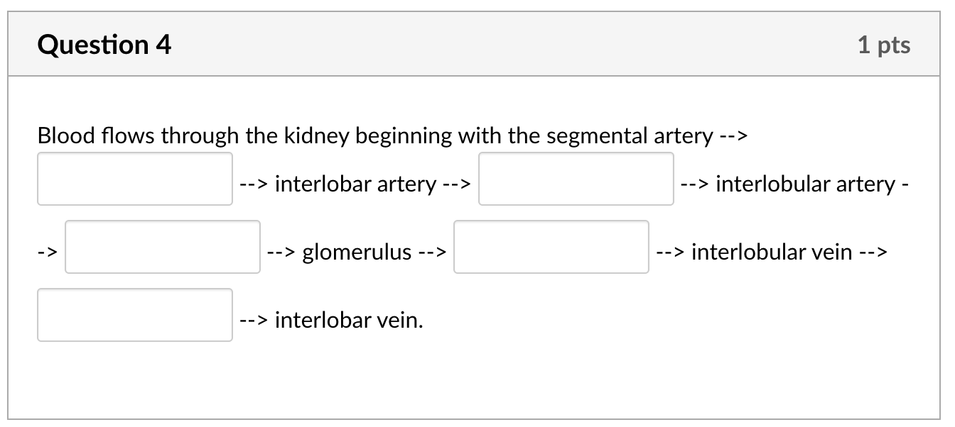 Solved Blood flows through the kidney beginning with the | Chegg.com