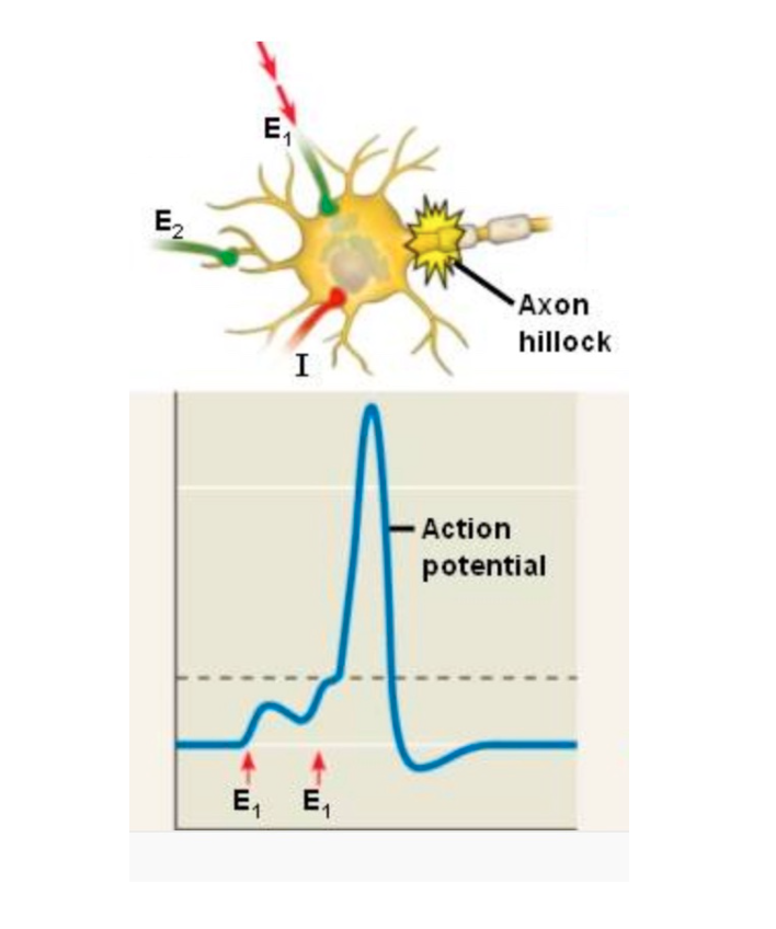 Solved 1. Making clear that you understand the concepts of | Chegg.com