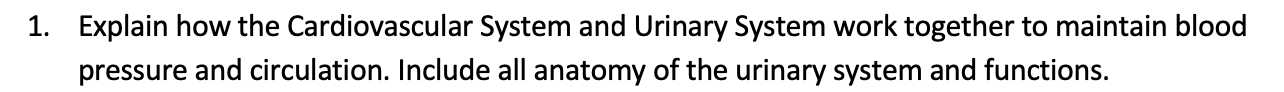 Solved 1. Explain how the Cardiovascular System and Urinary | Chegg.com