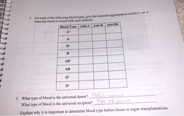 Solved 2. For each of the following blood types, give the | Chegg.com