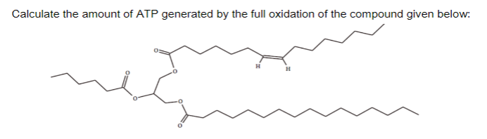 Solved Calculate the amount of ATP generated by the full | Chegg.com
