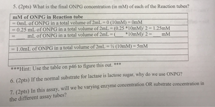 Solved 5. (2pts) What is the final ONPG concentration (in | Chegg.com