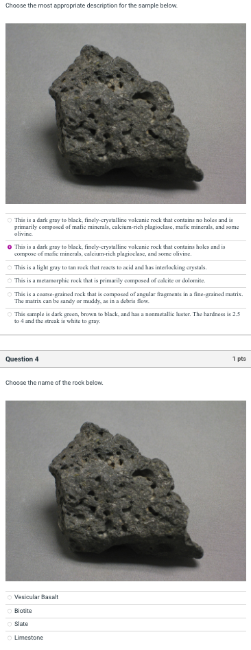 Solved Choose the most appropriate description for the | Chegg.com