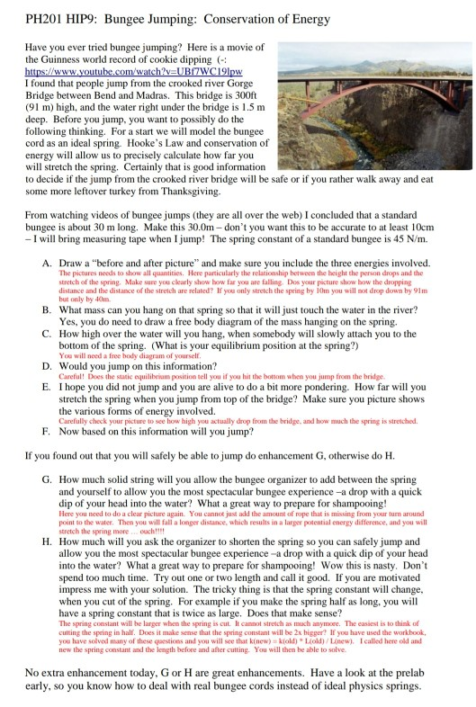 PH201 HIP9: Bungee Jumping: Conservation of Energy | Chegg.com