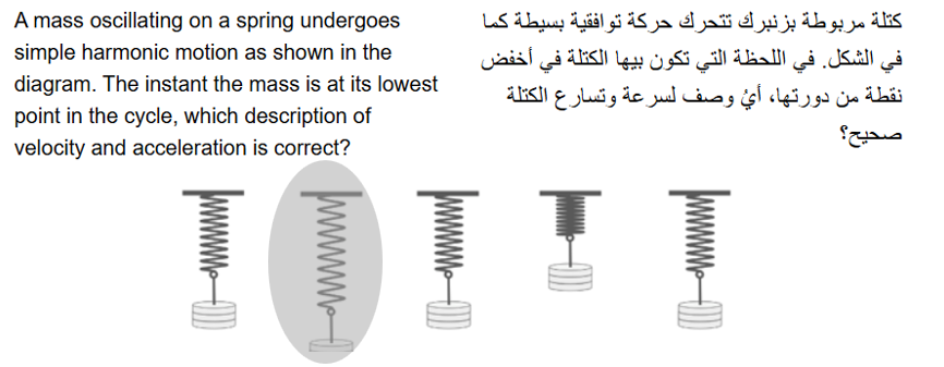 Solved A mass oscillating on a spring | Chegg.com