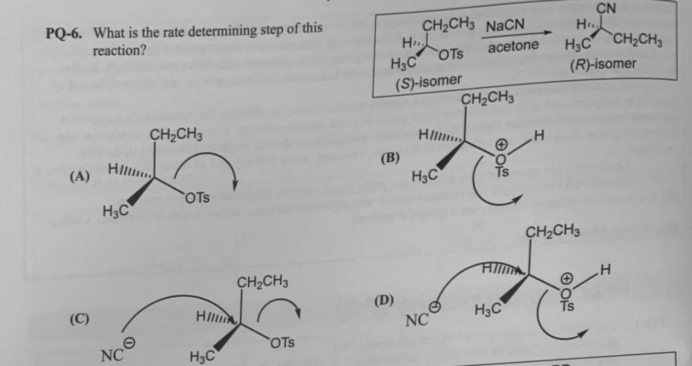 Solved C PQ-24. On which of the numbered atoms in this | Chegg.com