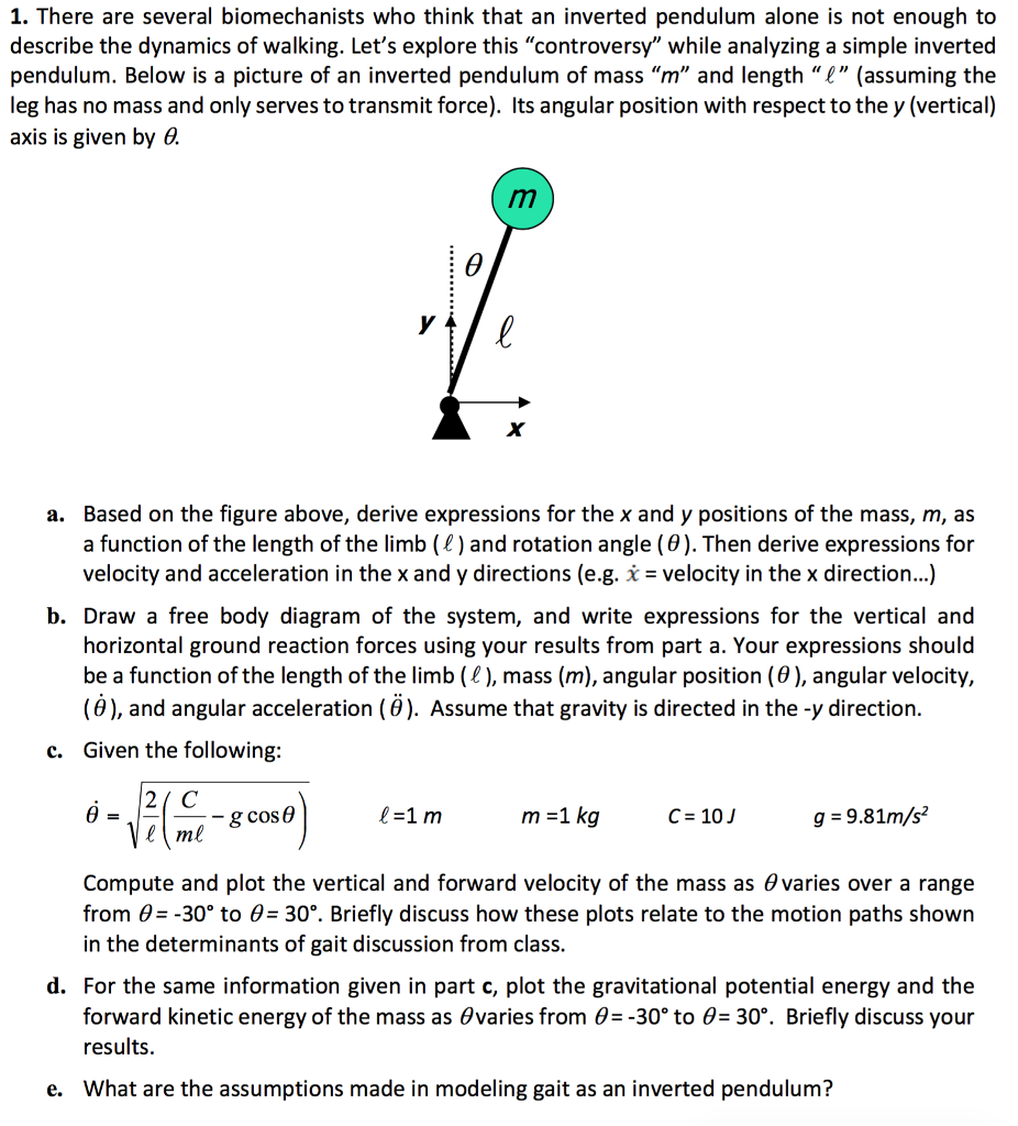 Solved 1. There are several biomechanists who think that an | Chegg.com