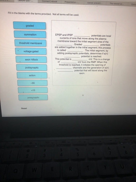 Solved Fill in the blanks with the terms provided. Not all | Chegg.com
