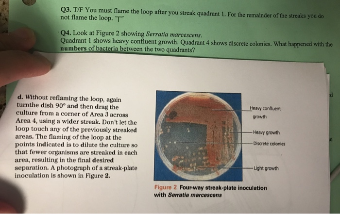 Solved Q3. T/F You must fame the loop after you streak | Chegg.com