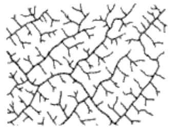 Solved What is the stream drainage pattern shown in the | Chegg.com