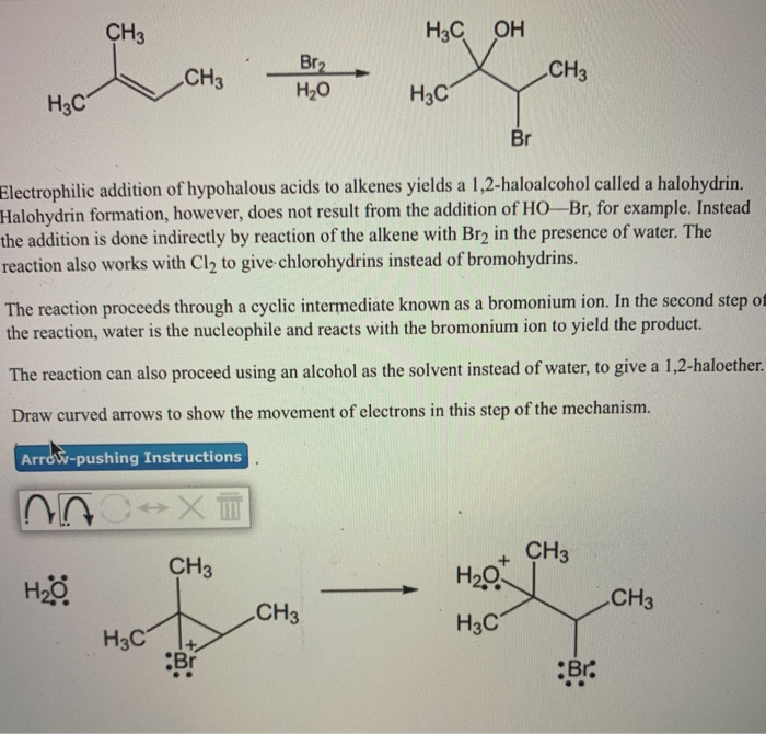 Solved CH3 H C OCH Br CH3 H3C Br Electrophilic adition of | Chegg.com