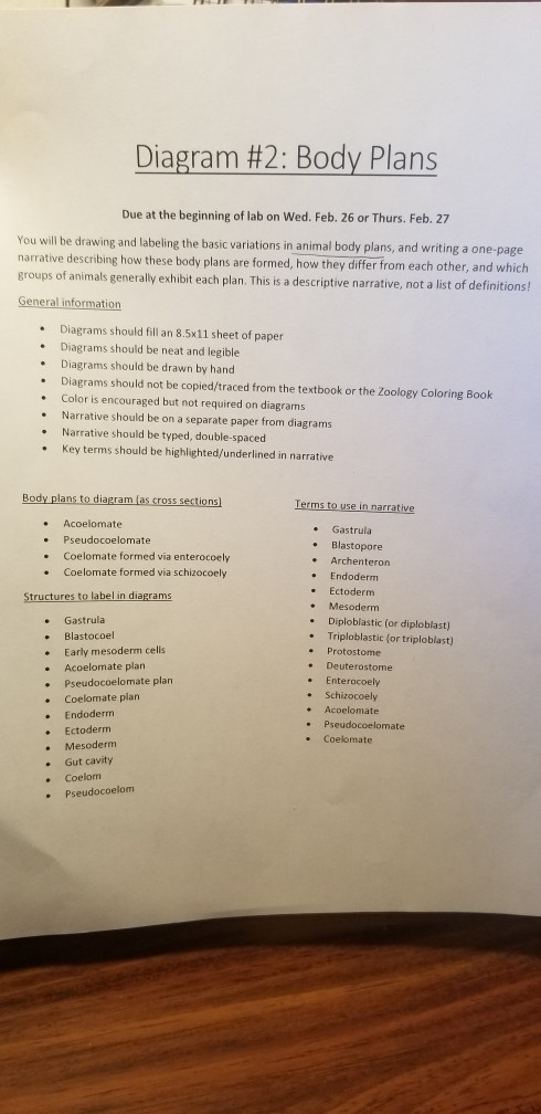 Solved Diagram #2: Body Plans Due at the beginning of lab on | Chegg.com