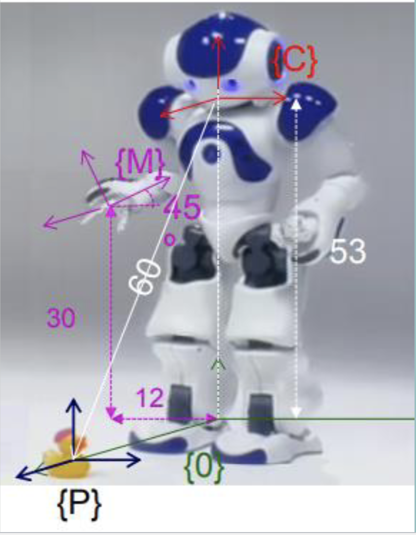 Solved Obtain the matrix of the system that locates P with | Chegg.com