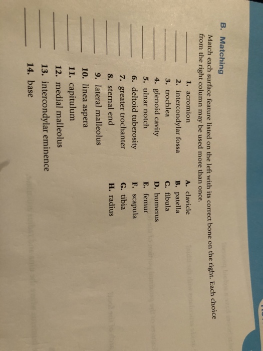 Solved B. Matching Match each surface feature listed on the | Chegg.com