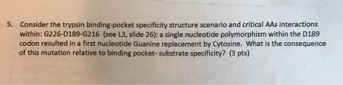 Solved 5. Consider the trypsin binding-pocket specificity | Chegg.com