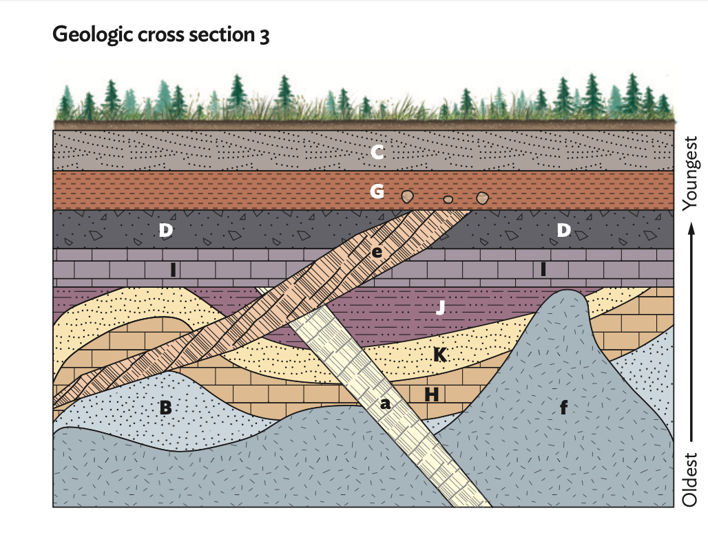 Solved For each cross-section, list the rock units from | Chegg.com