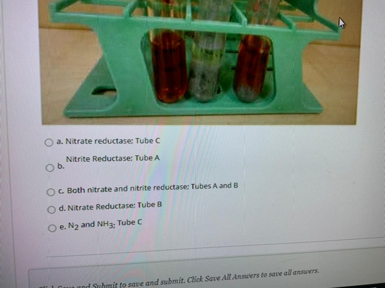 Solved QUESTION 46 These are nitrate broth tubes. Examine | Chegg.com