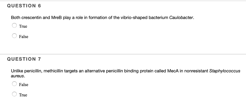 Solved QUESTION 6 Both crescentin and MreB play a role in | Chegg.com