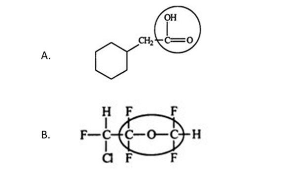 Aldehyde Functional Group