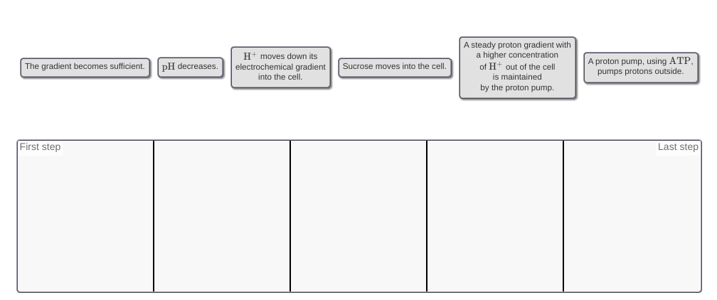 Solved SCIENTIFIC INQUIRY An experiment is designed to | Chegg.com