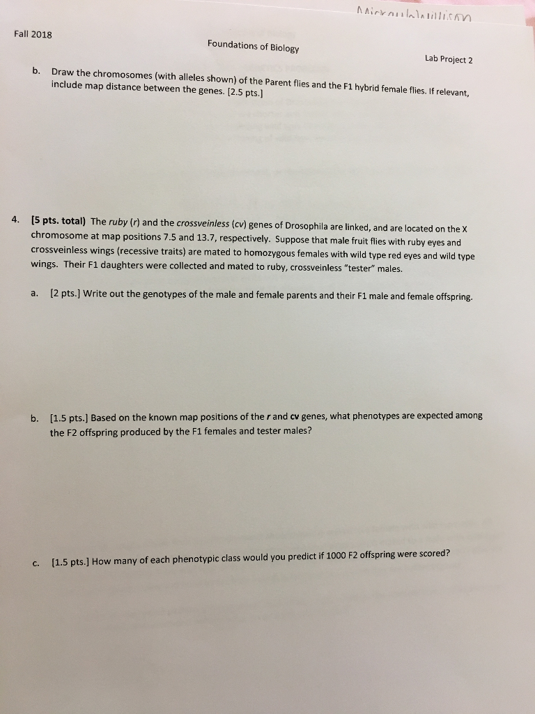 Fall 2018 Lab Project 2 WORKSHEET 2 -GENETICS | Chegg.com