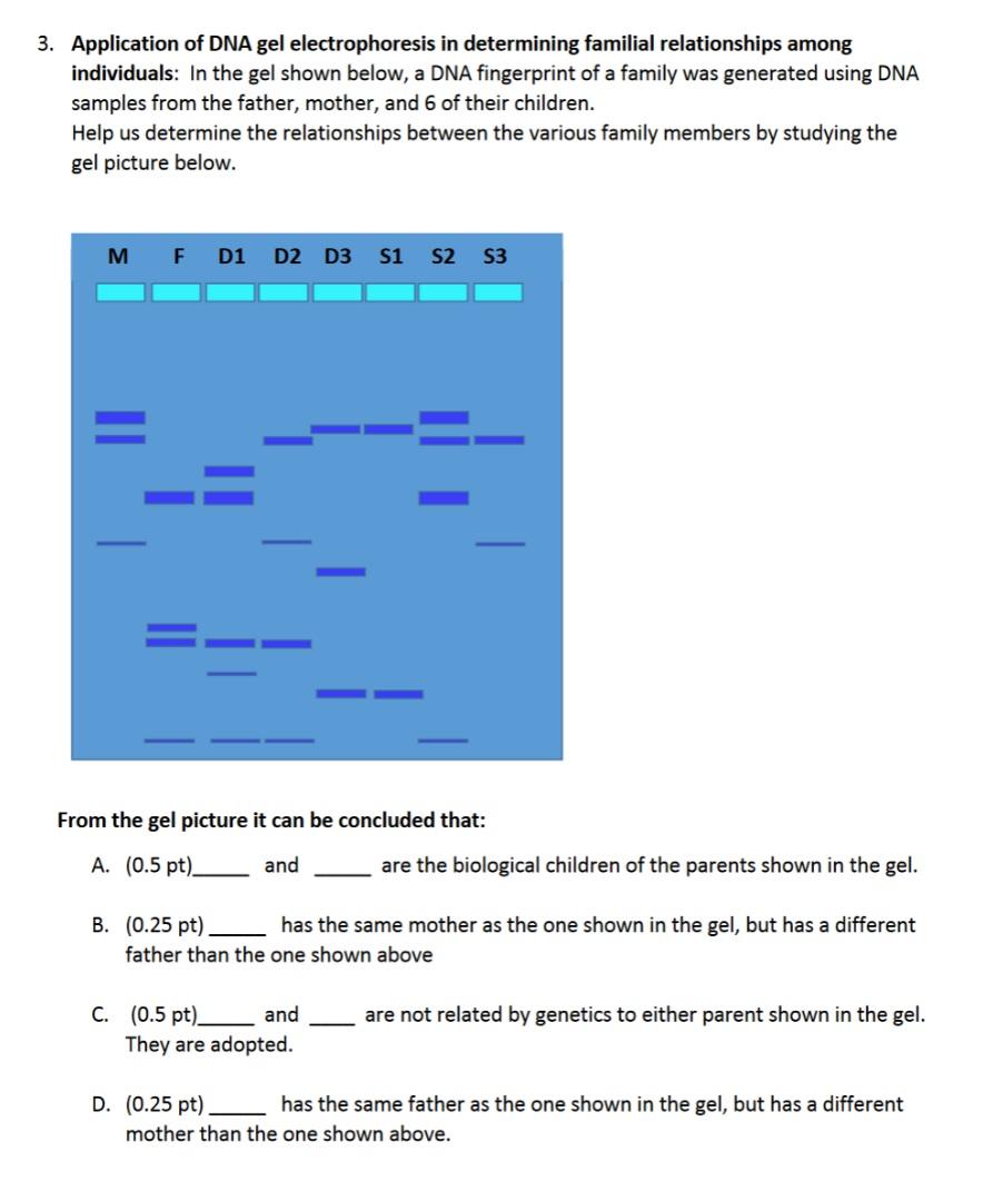Solved 3. Application of DNA gel electrophoresis in | Chegg.com