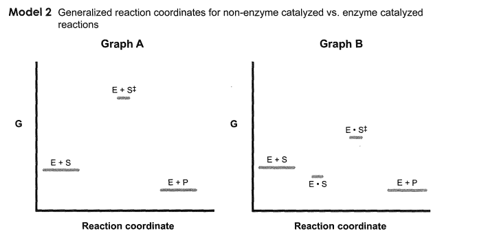 Solved 9. Describe what E + S (on graph A) and E. S (on | Chegg.com