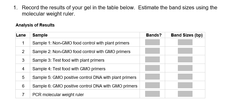 Solved Using 20 µl of the PCR molecular mass ruler | Chegg.com