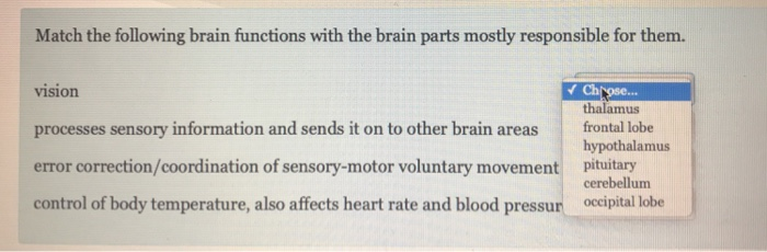 Solved Match the following brain functions with the brain | Chegg.com