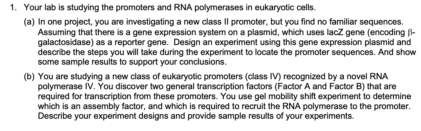 Solved 1. Your lab is studying the promoters and RNA | Chegg.com