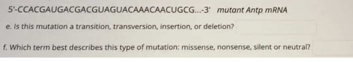 Solved 5-CCACGAUGACGACGUAGUACAAACAACUGCG...-3' mutant Antp | Chegg.com