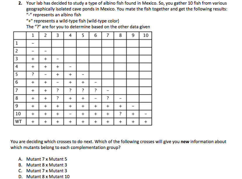Solved 2. Your lab has decided to study a type of albino | Chegg.com
