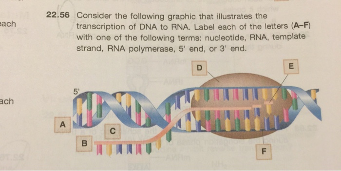 Solved Consider the following graphic that illustrates the | Chegg.com