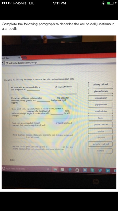 Complete the following paragraph to describe the cell | Chegg.com