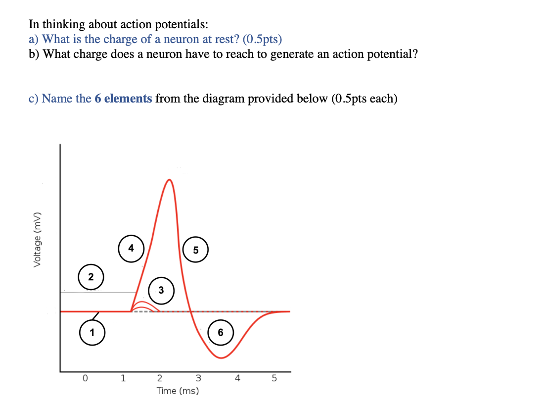 Solved In thinking about action potentials: a) What is the | Chegg.com