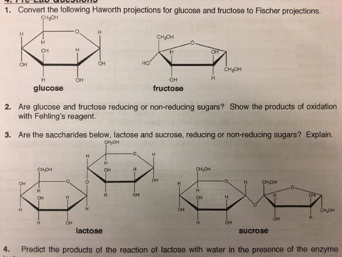 Solved 1. Convert the following Haworth projections for | Chegg.com Solved 1. Convert the following Haworth projections for | Chegg.com