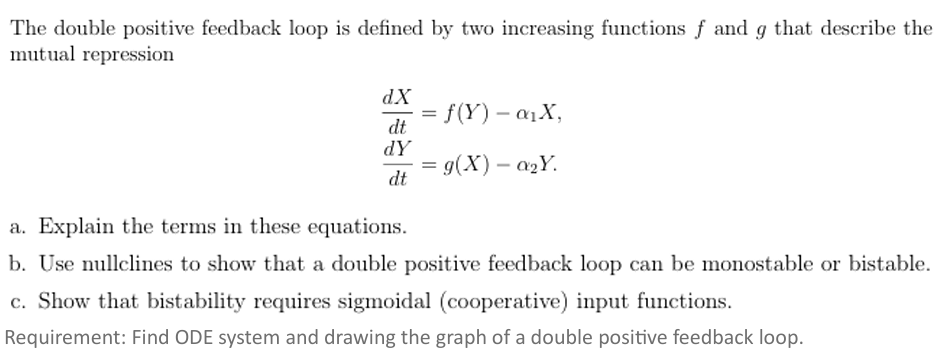 Solved The double positive feedback loop is ﻿defined by ﻿two | Chegg.com