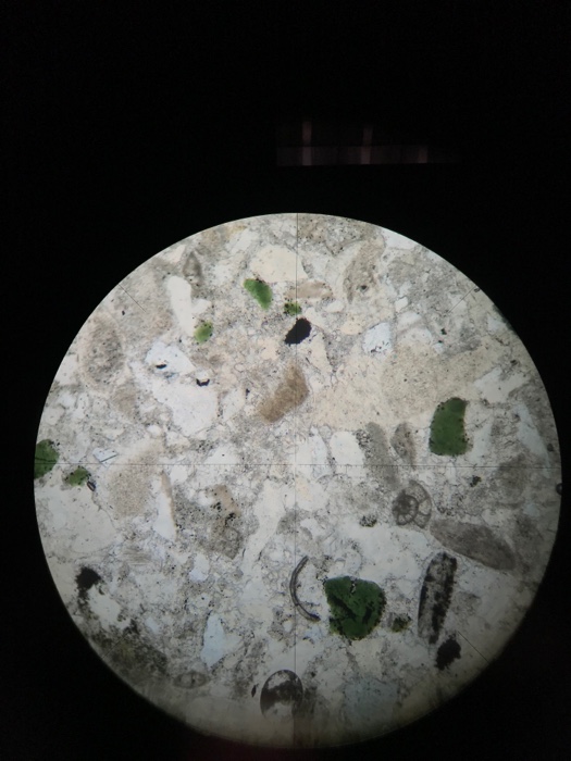 Solved Geology Identify the cement (micrite, sparite, | Chegg.com