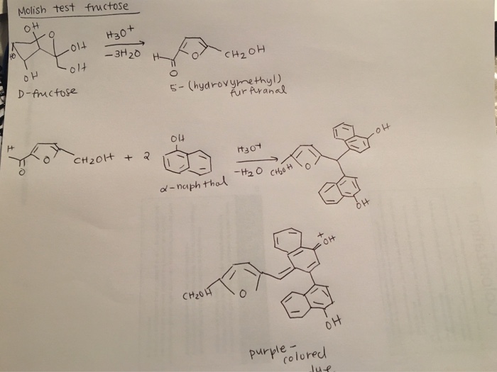 Solved I was given this equation for the Molish test. How do | Chegg.com
