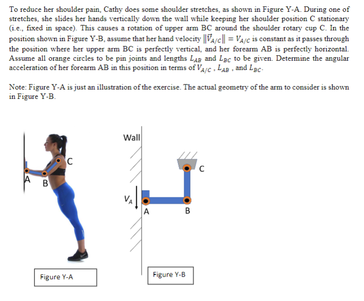 Solved To reduce her shoulder pain, Cathy does some shoulder | Chegg.com