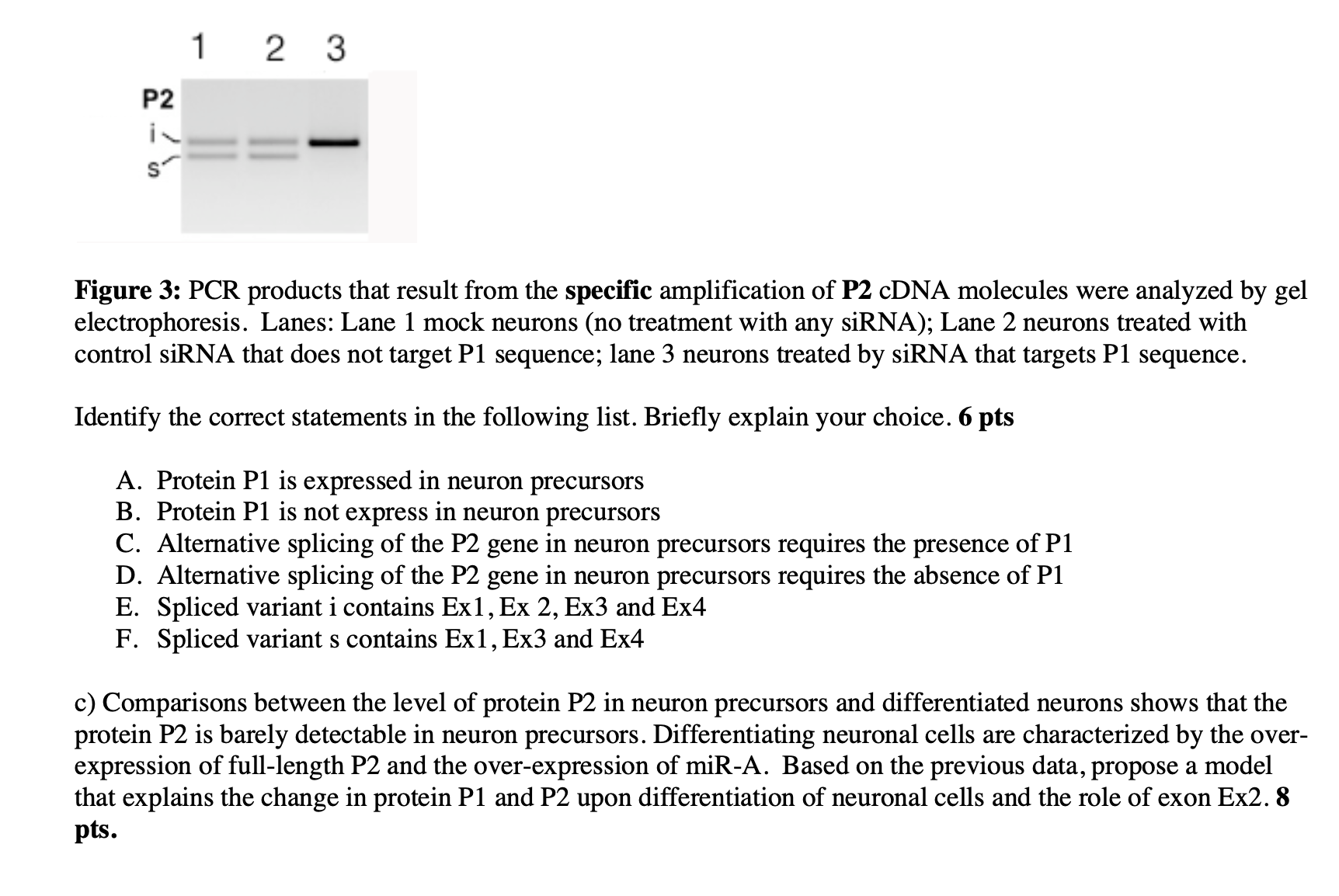Solved b) The pre-mRNA coding for P2 is alternatively | Chegg.com
