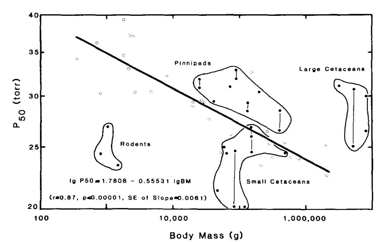 Solved Below is a figure depicting the P50 of several | Chegg.com