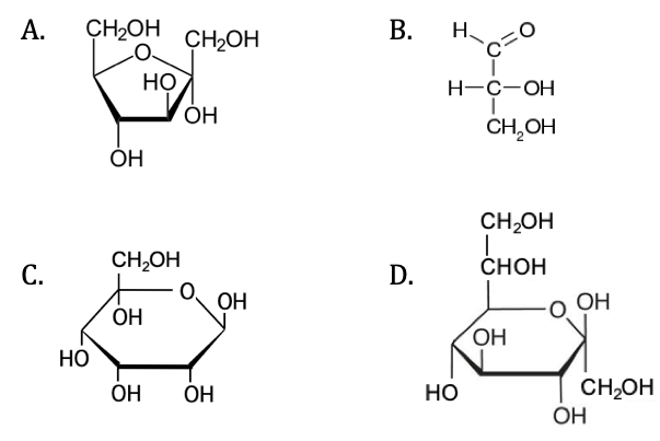 Solved 1. Shown below is the ___ anomer of a | Chegg.com