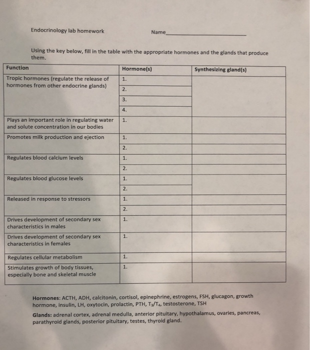 Solved Endocrinology lab homework Name Using the key below, | Chegg.com