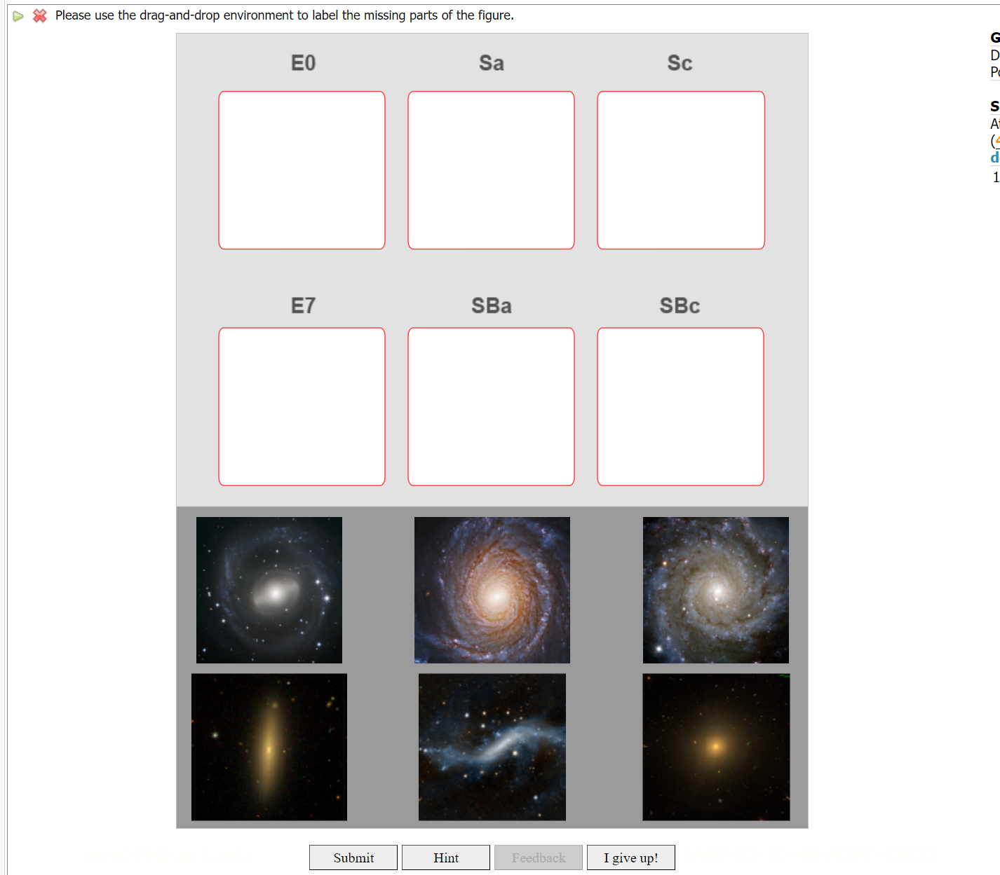 Solved Please use the drag-and-drop environment to label the | Chegg.com