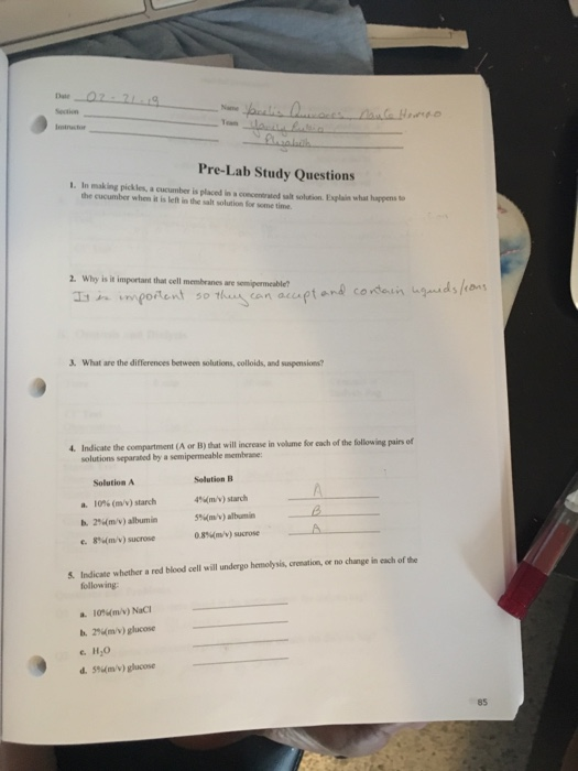 Solved Tesm Pre-Lab Study Questions I. In 1 In making | Chegg.com